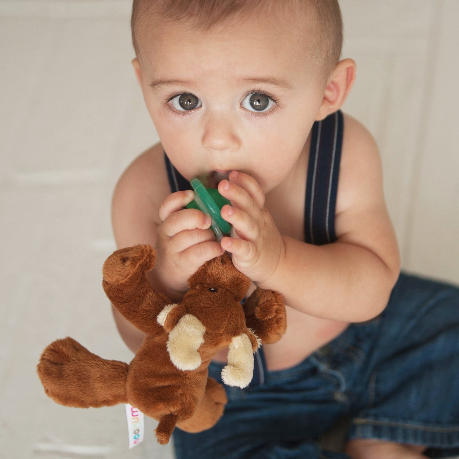 Paci-Plushies® Buddies™ | Nookums® Paci-Plushies®