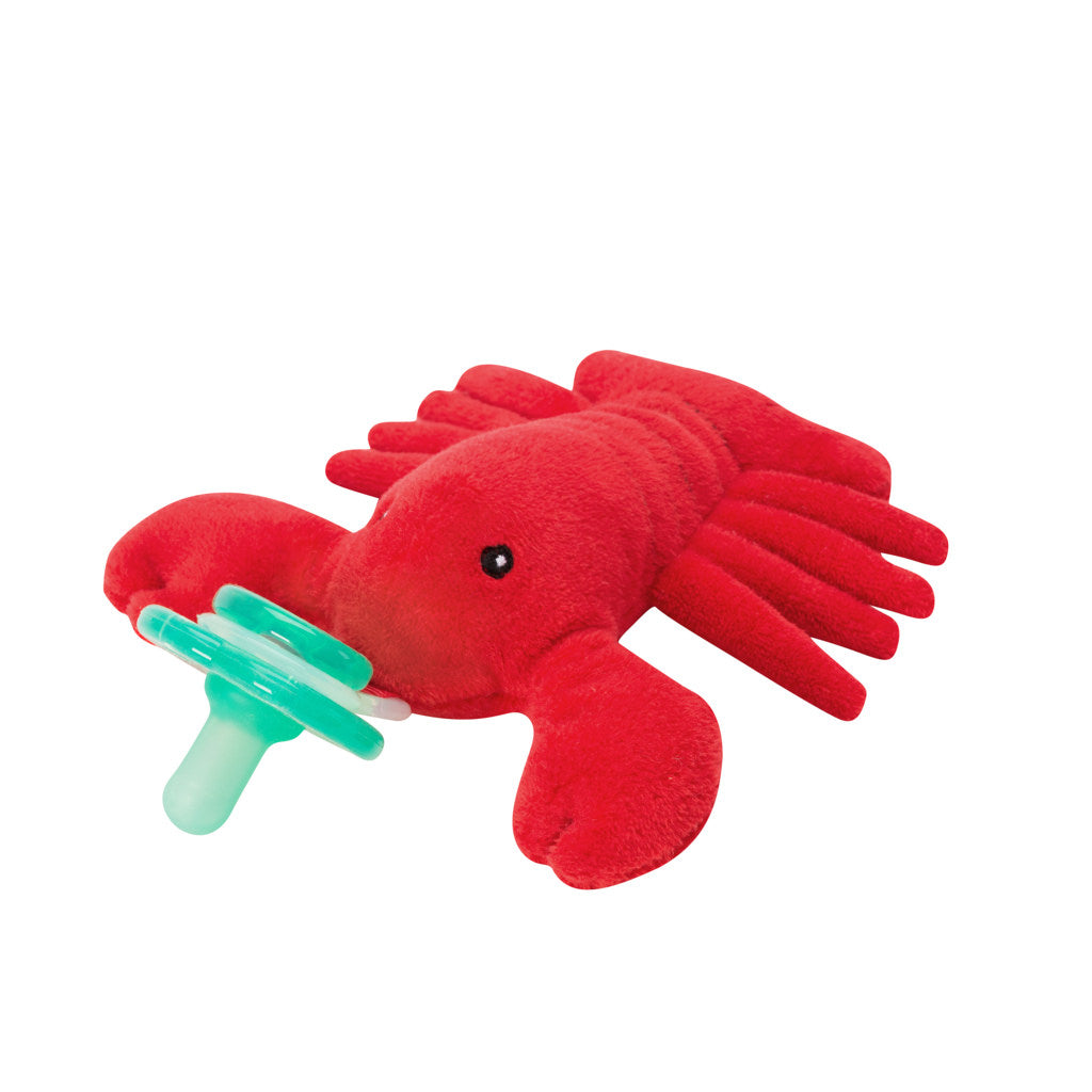 Nookums® Paci-Plushies® Lobster Buddies Pacifier Holder | Nookums® Paci ...