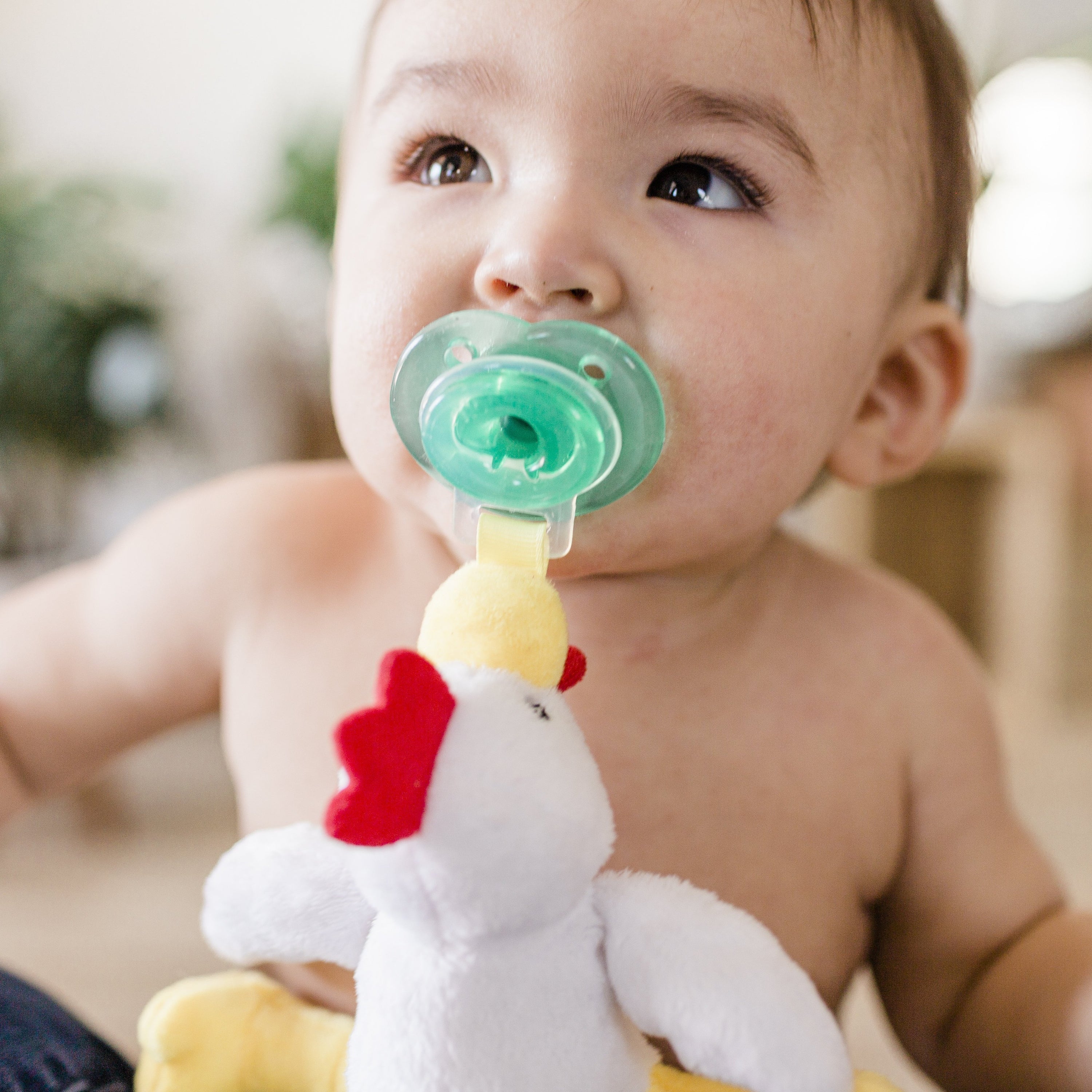 Nookums® Paci-Plushies® Tickles Turtle Shakies™ | Nookums® Paci-Plushies®